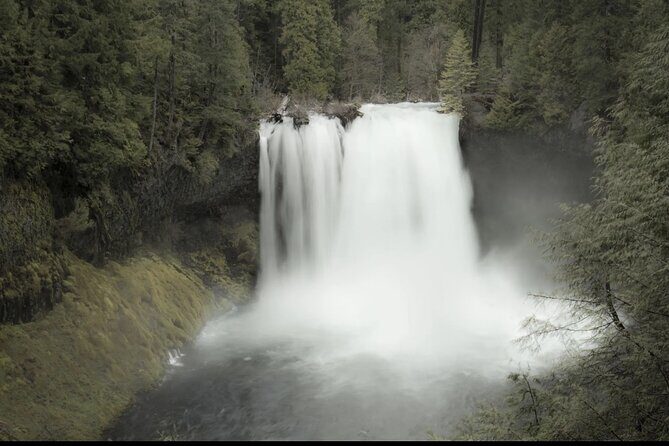 Waterfalls & the McKenzie River in a Tesla - Specific Stops and What You’ll Love (or Not)