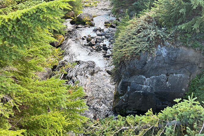 Waterfalls & the McKenzie River in a Tesla - What the Reviews Say (or Would Say)