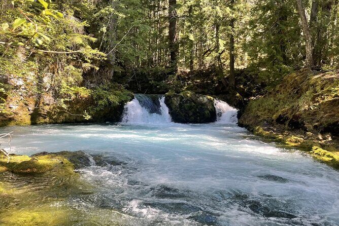 Waterfalls & the McKenzie River in a Tesla - Final Thoughts: Is This Tour Right for You?