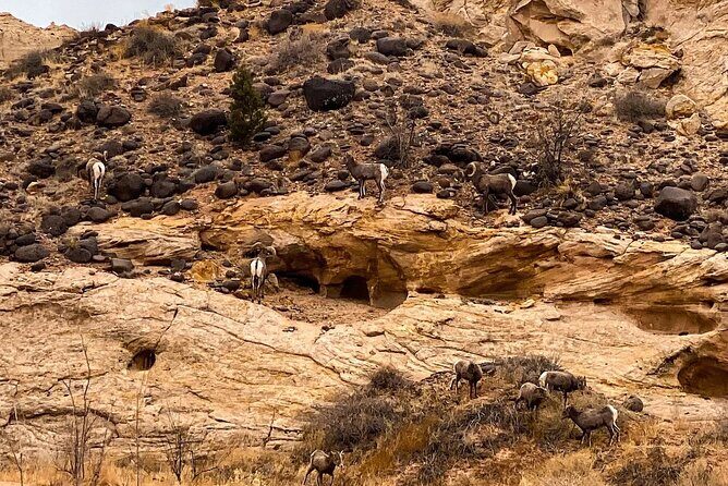 Waterpocket Fold Offroad Tour to Strike Valley Overlook - Pricing and Value