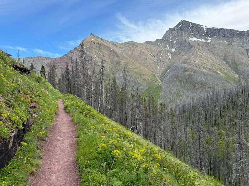Waterton Lakes National Park: Upper Rowe Lakes Hike - Key Points