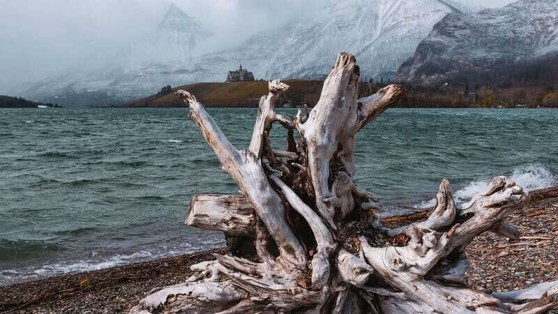 Waterton's Wild Beauty: A Hidden Gem in the Rockies - FAQ