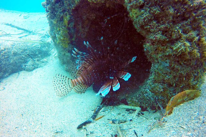 Wave Break Island Scuba Diving on the Gold Coast - FAQs