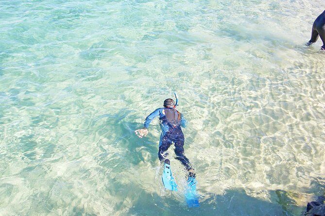Wave Break Island Snorkel Tour on the Gold Coast - An In-depth Look at the Tour Experience
