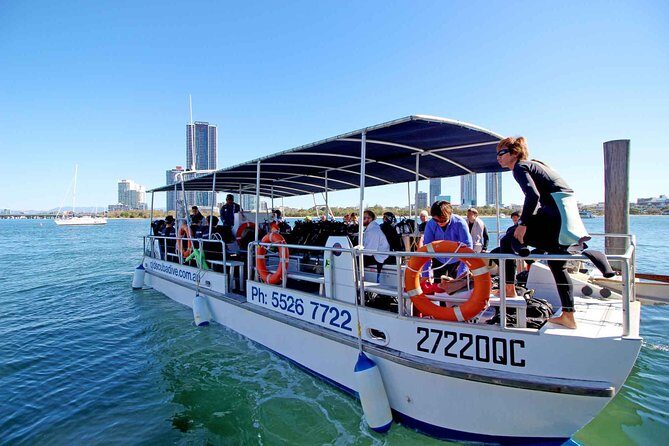Wave Break Island Snorkel Tour on the Gold Coast - Practical Tips for Visitors