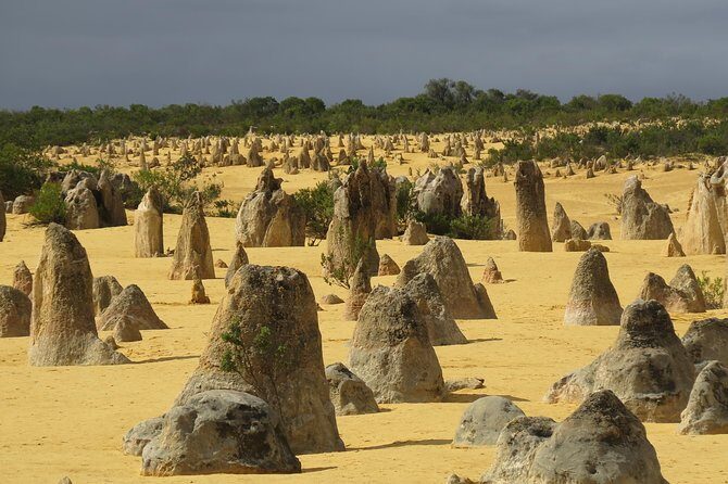 Wave Rock and Pinnacles Air & Ground Tour - Additional Highlights and Optional Activities