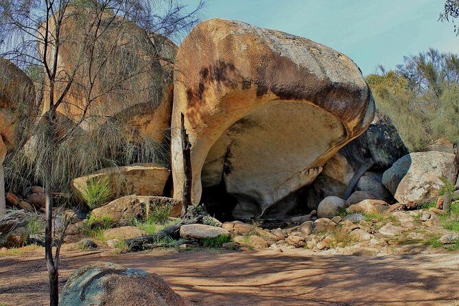 Wave Rock Half Day Air & Ground Tour - Who Will Love This Tour?