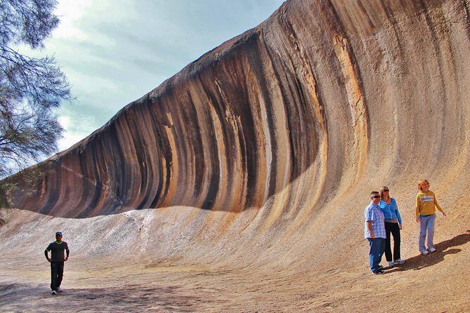 Wave Rock & Rottnest Island - Air & Ground Tour - What Travelers Say: Authentic Feedback