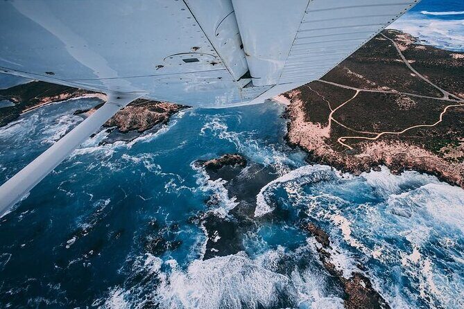 Wave Rock & Rottnest Island - Air & Ground Tour - Who Should Consider This Tour?