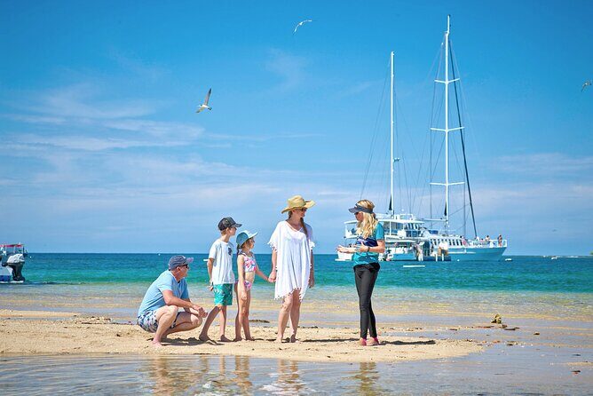 Wavedancer Low Isles Great Barrier Reef Sailing Cruise from Palm Cove - Who Will Enjoy This Tour?
