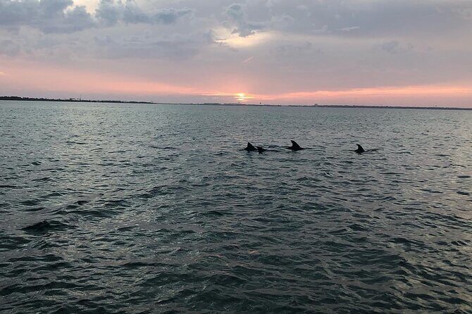 Waverunner Dolphin Tour - Who Should Consider This Tour?