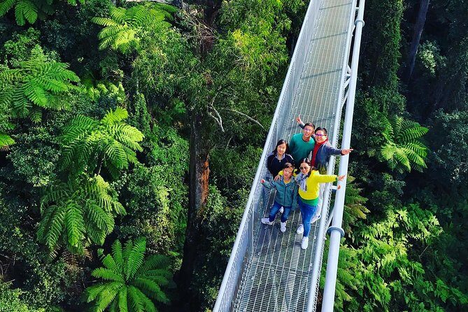 Waves Waterfalls and Wineries Full-Day Southern Highlands Private Tour - The Sum Up