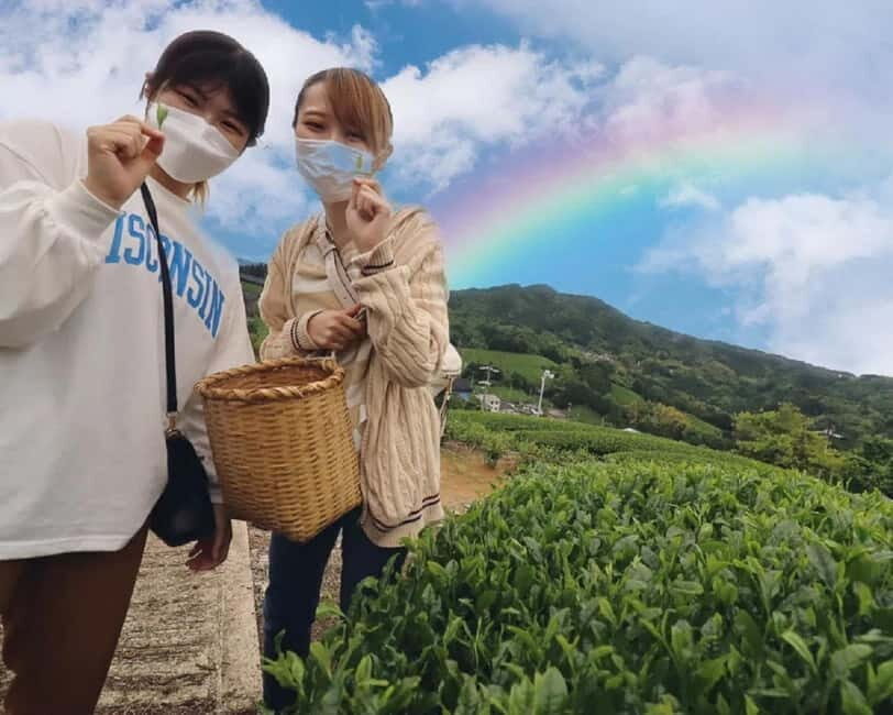 Wazuka: Tea Picking Experience with Matcha Tea Tasting - Final Thoughts