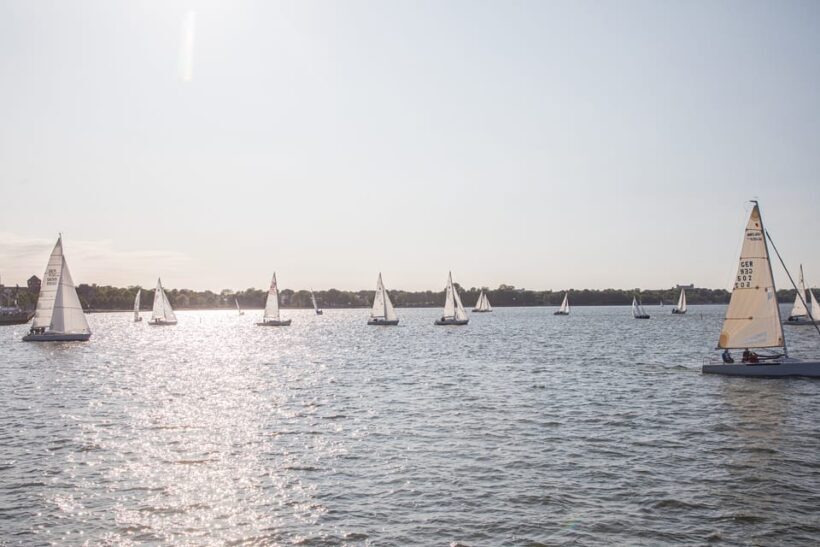 Wednesday Regatta with harbour tour - What to Expect from the Harbour Tour with Regatta