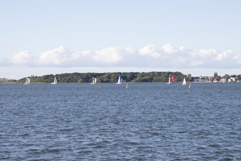 Wednesday Regatta with harbour tour - Who Will Get the Most Out of This Experience