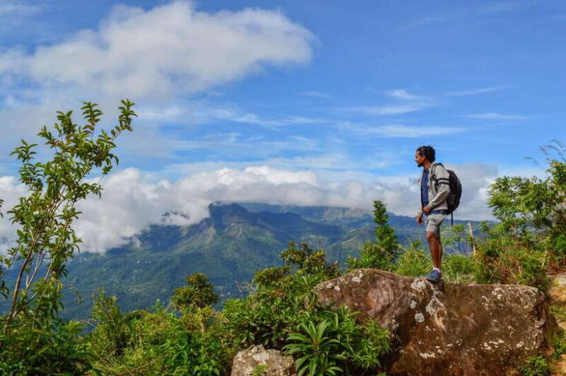 Week in Paradise (7 Days) - Who Should Consider This Tour?