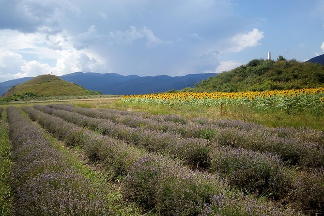 Weekend in Bulgaria - The Practical Side: What Does the Tour Offer?