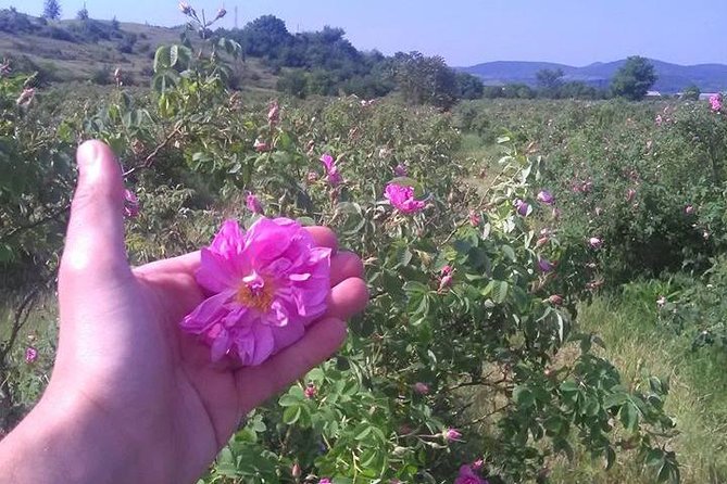 Weekend in Bulgaria - Who Should Consider This Tour?