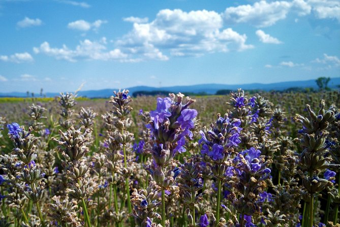 Weekend in Bulgaria - Final Thoughts