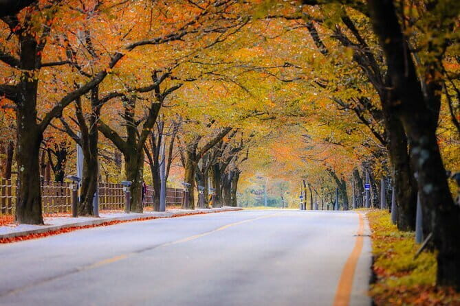 WEEKEND ONLY Autumn Mt. Seorak Round trip - An In-Depth Look at the Seorak Mountain Autumn Tour