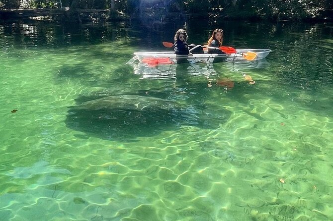 Weeki Wachee Clear Kayak Ecotours Manatee Season - November 14th-March 31st - Tour Inclusions and Recommendations