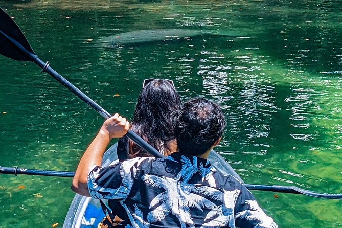 Weeki Wachee Clear Kayak Ecotours Manatee Season - November 14th-March 31st - Safety and Accessibility Considerations