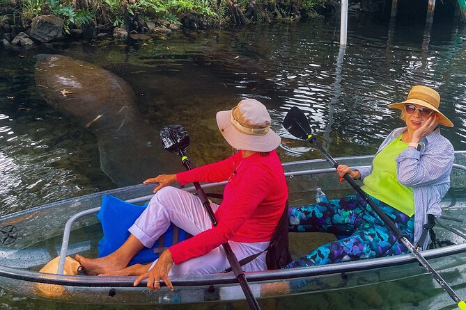 Weeki Wachee Clear Kayak Ecotours Manatee Season - November 14th-March 31st - Customer Feedback and Operator Commitment