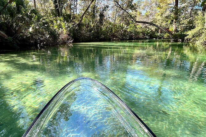 Weeki Wachee Clear Paddle Board Ecotours - FAQs