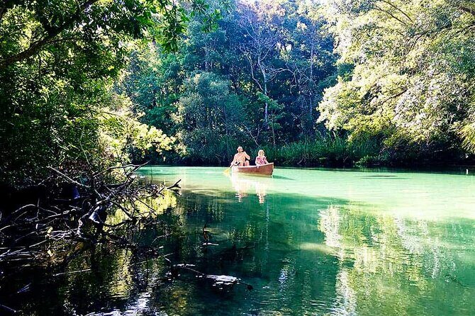 Weeki Wachee kayaking - An In-Depth Look at the Weeki Wachee Kayaking Experience