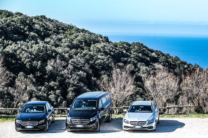 Weekly tours - Who Will Love This Experience?