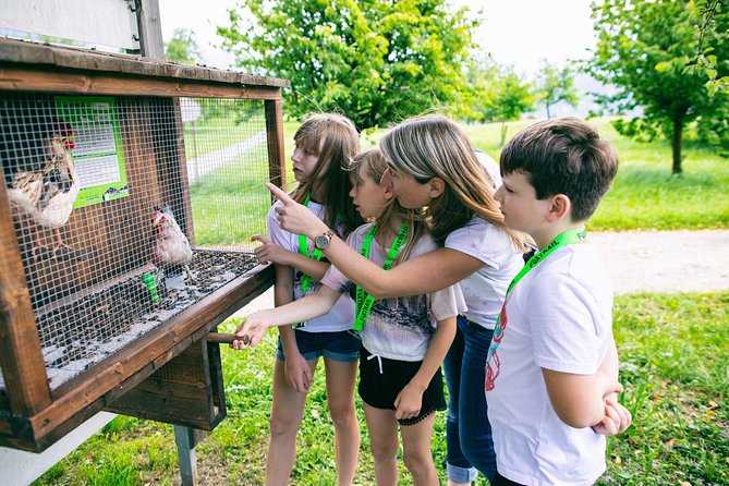 Weggis Vitznau Foxtrail Helios - Itinerary Breakdown: What Can You Expect?