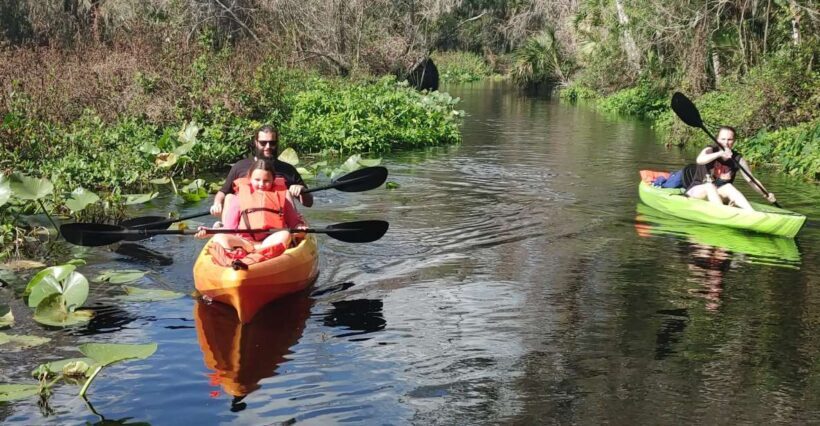 Wekiva Wildlife kayaking Adventure Tour - Exploring the Wekiva Wildlife Kayaking Tour
