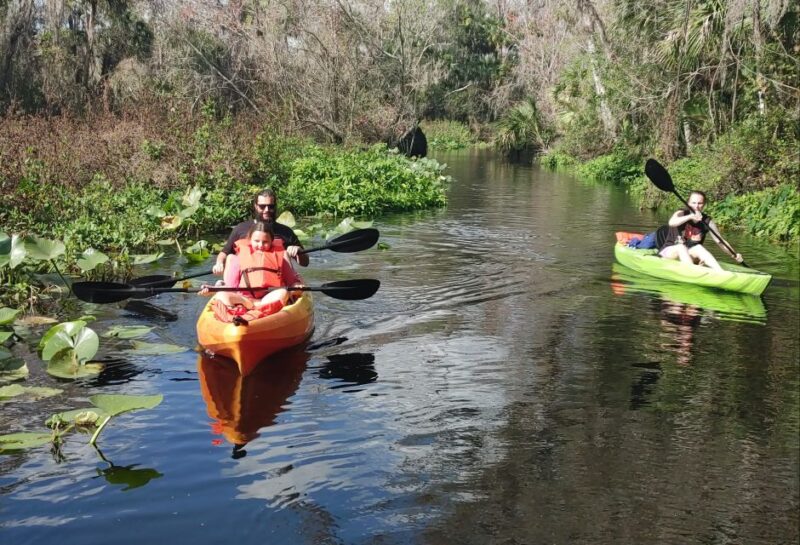 Wekiva Wildlife kayaking Adventure Tour - The Itinerary: A Closer Look