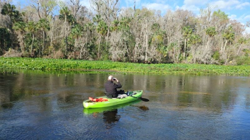 Wekiva Wildlife kayaking Adventure Tour - Practical Details and What to Expect