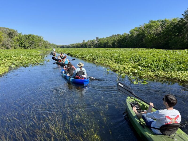 Wekiva Wildlife kayaking Adventure Tour - What Are the Benefits of Choosing This Tour?