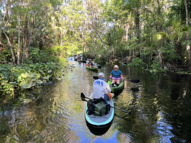 Wekiva Wildlife kayaking Adventure Tour - Authentic Feedback from Participants
