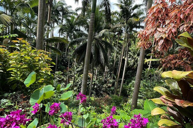 Welchman Hall Gully, Huntes Garden and Peg Farm Family Day - FAQs