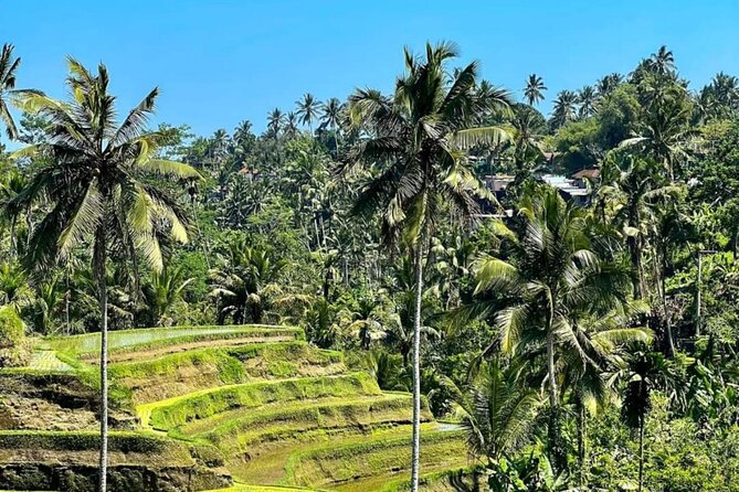 Welcome Pickups Bali Transfer - Final Thoughts