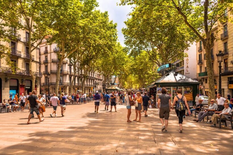 Welcome to Barcelona! Your Essential Orientation Tour. - An In-Depth Look at the Tour Experience