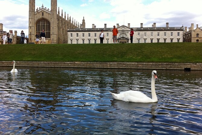 Welcome to Cambridge: Private Tour including King's College Chapel - FAQ
