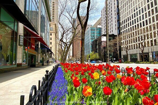 Welcome to Chicago: Private Half-Day Tour with 360 Observation Deck - FAQ