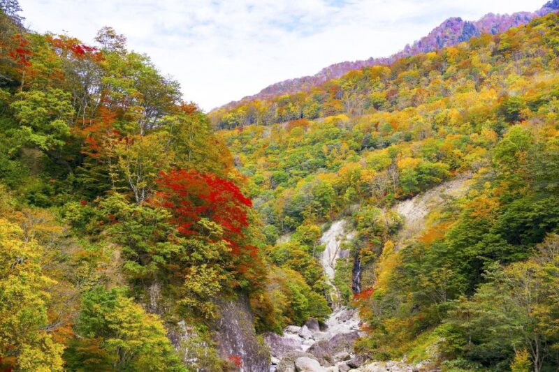 Welcome to Nagano: Private Tour With a Local - Navigating Naganos Charming Neighborhoods