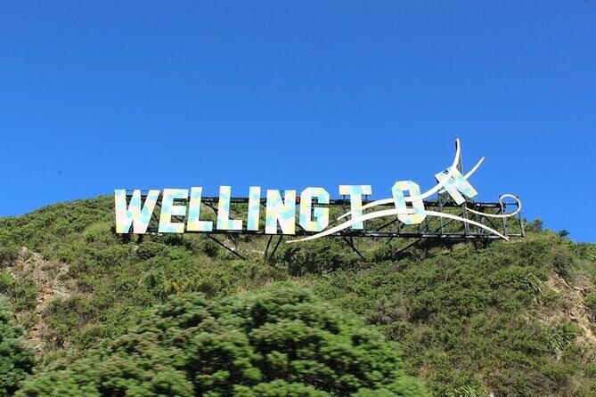 Welcome to Wellington: Private Luxury City & Scenic Bay Tour - Exploring Wellington in Style: A Review of the Private Luxury City & Scenic Bay Tour