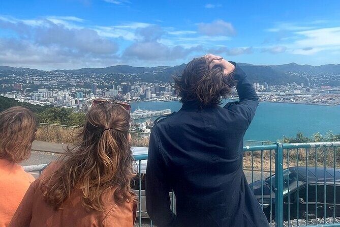 Welcome to Wellington: Private Luxury City & Scenic Bay Tour - Who Is This Tour Best For?