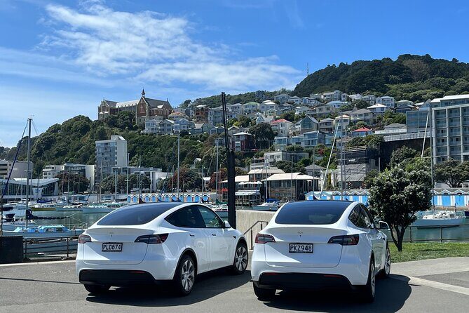 Welcome to Wellington: Private Luxury City & Scenic Bay Tour - Final Thoughts