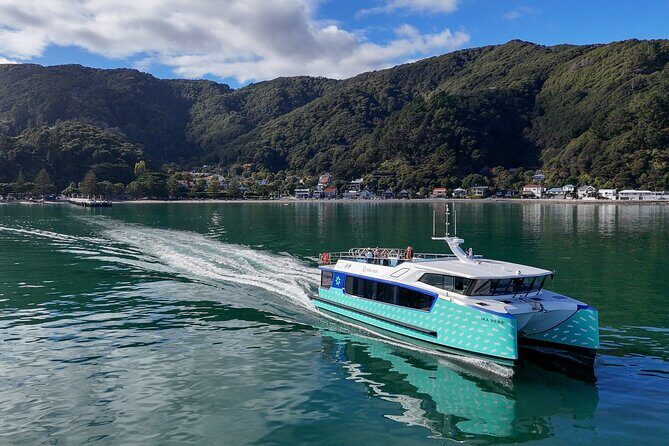 Wellington 90 minute Harbour Cruise - Introduction