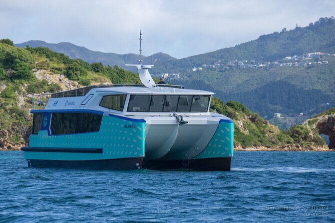 Wellington 90 minute Harbour Cruise - Who Will Love This Tour?