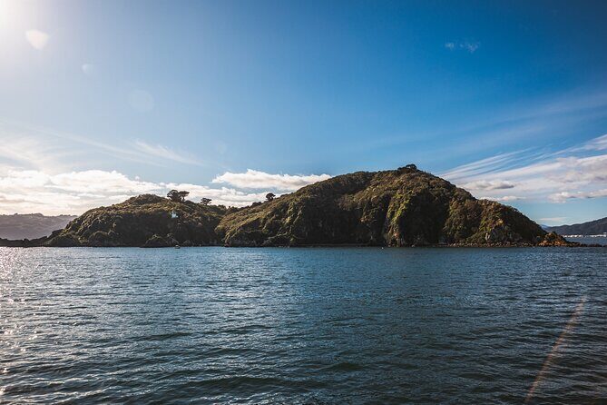 Wellington 90 minute Harbour Cruise - The Sum Up