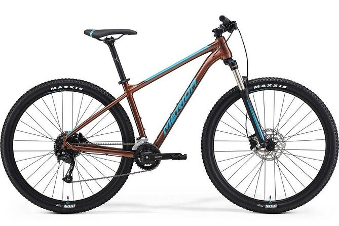 Wellington Bike Rental - Who Will Love This?