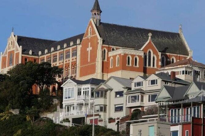Wellington city heights sightseeing Private 5 hour tour - Who is This Tour Best For?